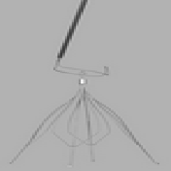 Gunther Tulip Ivc Filter