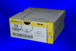 CG63 SUTURE PLAIN GUT 2-0 GS-26 SURIGUT 30IN CG-63 ( BX 24 ), Bees Medical